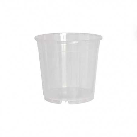 Pot transparent orchidée 17 cm | BloomLED
